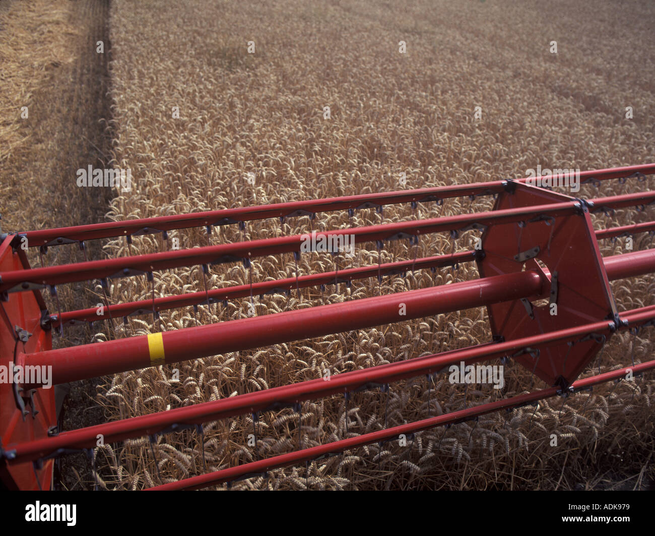 Farming Harvesting close up of cutter in action on combine Stock Photo ...