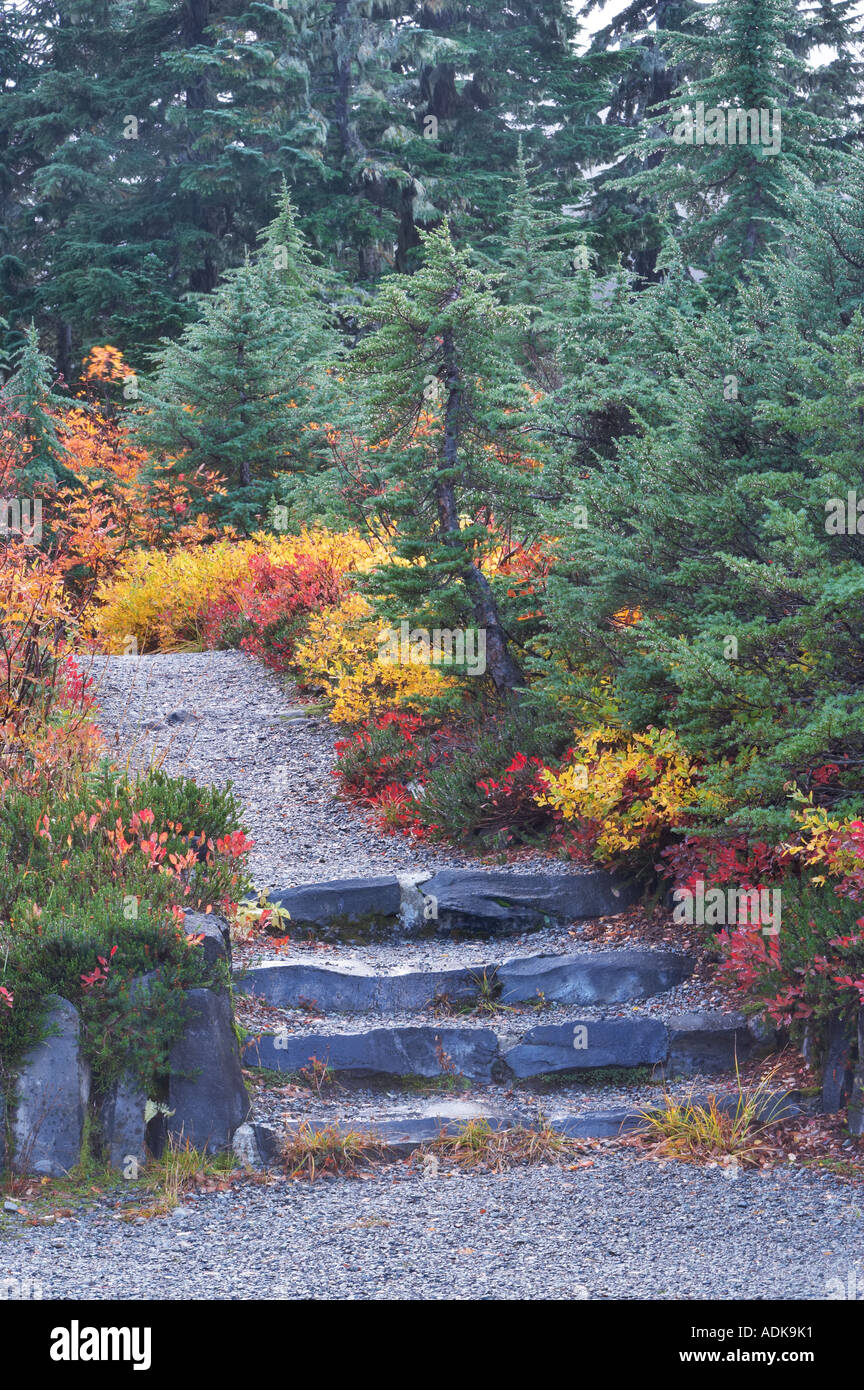 Huckleberry hills trails hi-res stock photography and images - Alamy