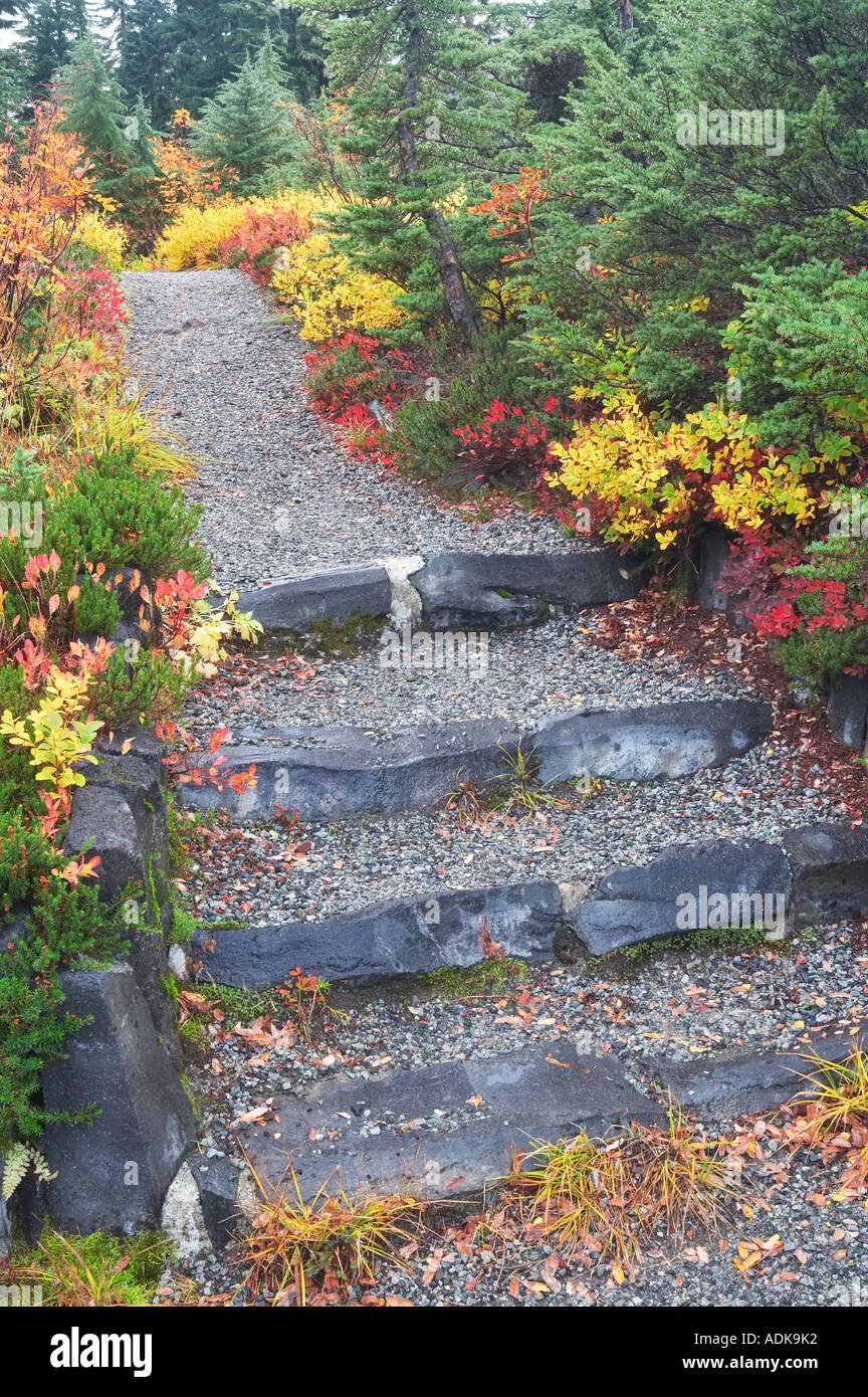 Huckleberry hills trails hi-res stock photography and images - Alamy