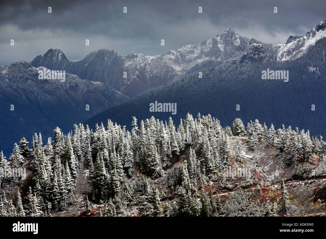 Snowline hi-res stock photography and images - Alamy