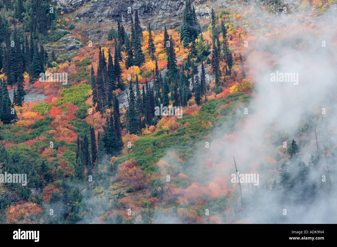 Cascades mountains washington hi-res stock photography and images - Alamy