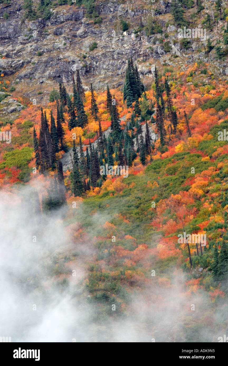 Fall color and low clouds North Cascades National Park Washington Stock ...
