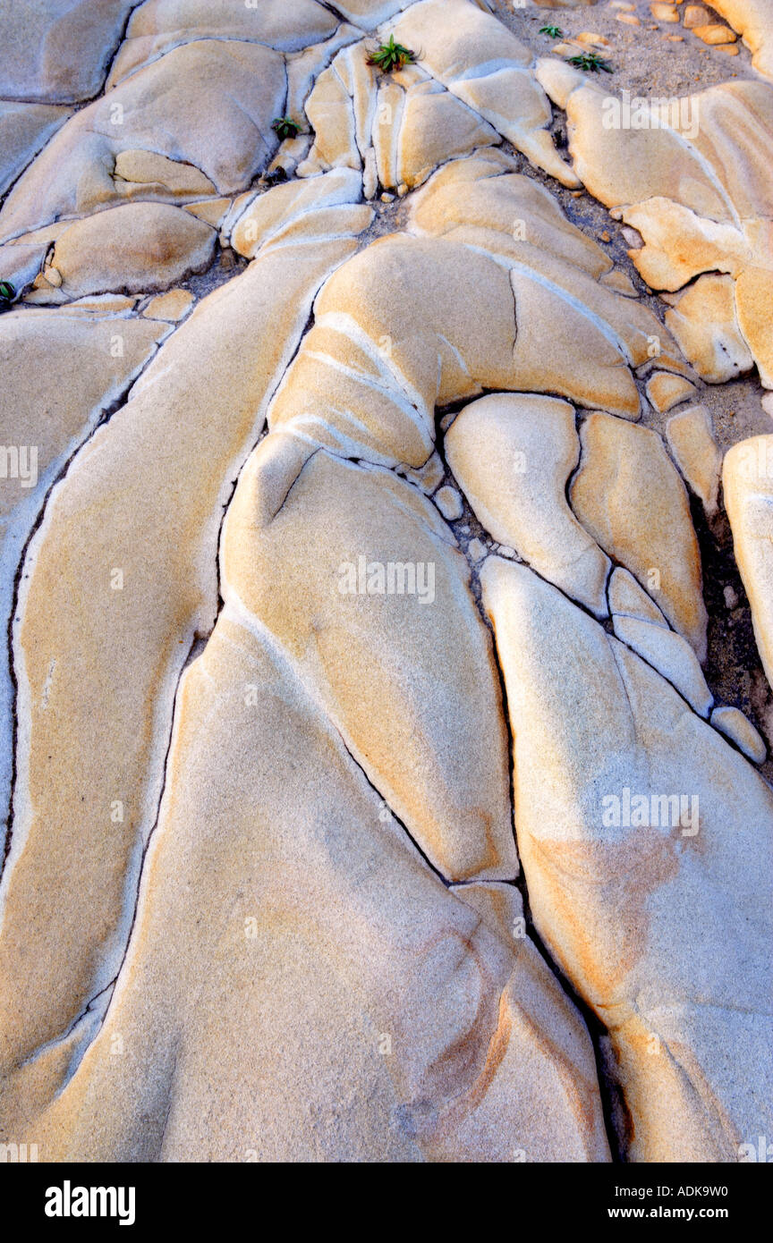 Rock salt point state park hi-res stock photography and images - Alamy
