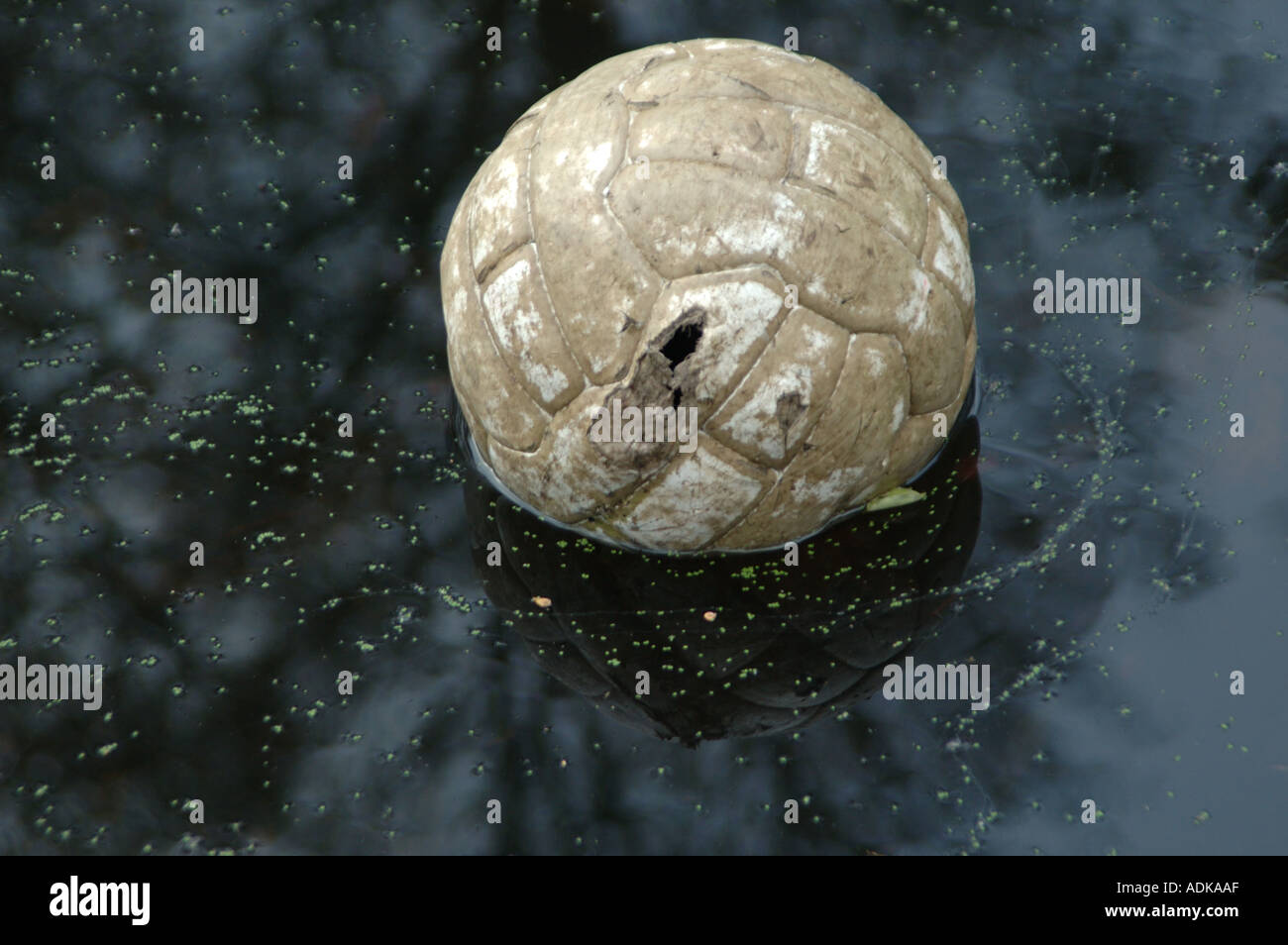 Floating muck hi-res stock photography and images - Alamy