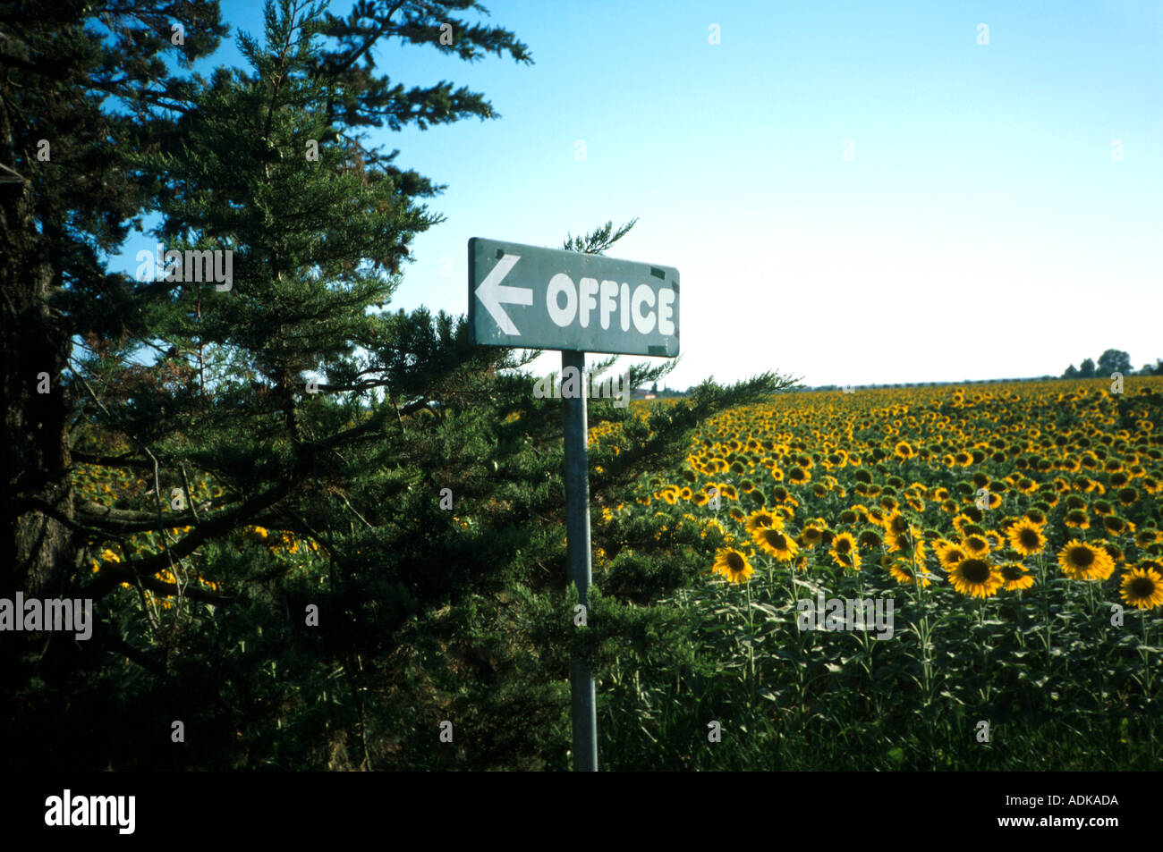 office sign in countryside Stock Photo - Alamy