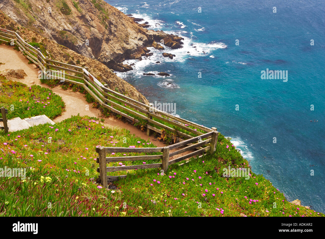 Point reyes national seas hi-res stock photography and images - Alamy