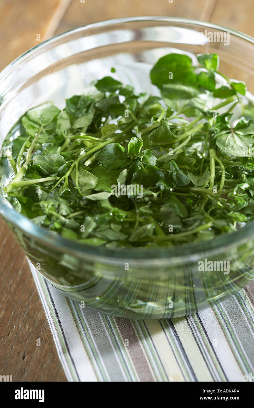 vegetables vitamin in a vessel Stock Photo - Alamy