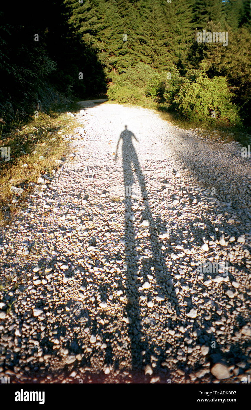 man s shadow on gravel road in forest Stock Photo - Alamy