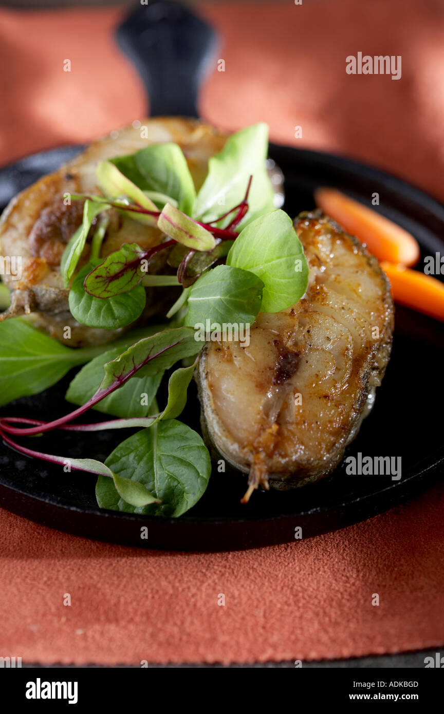 Mero Fish High Resolution Stock Photography and Images - Alamy