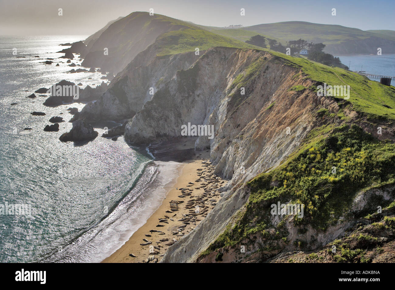 Point reyes national seas hi-res stock photography and images - Alamy