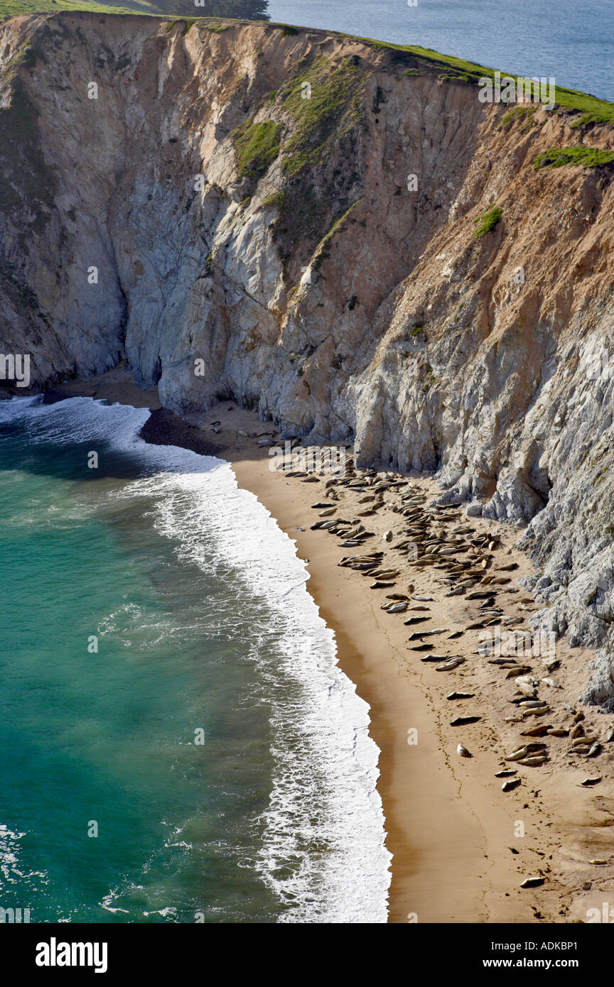 Chimney Rock Point Reyes National High Resolution Stock Photography and ...