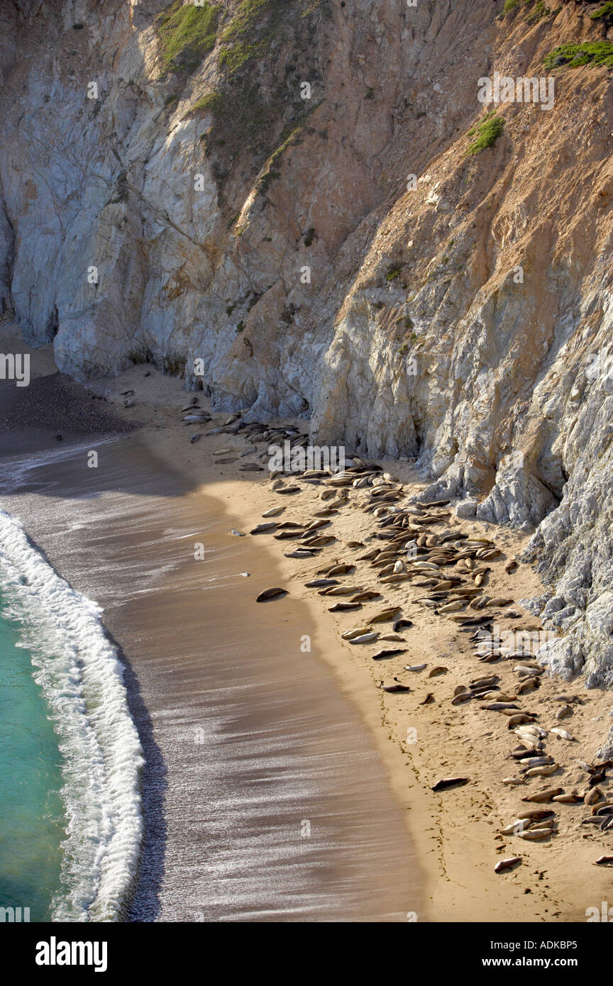 Point reyes national seas hi-res stock photography and images - Alamy