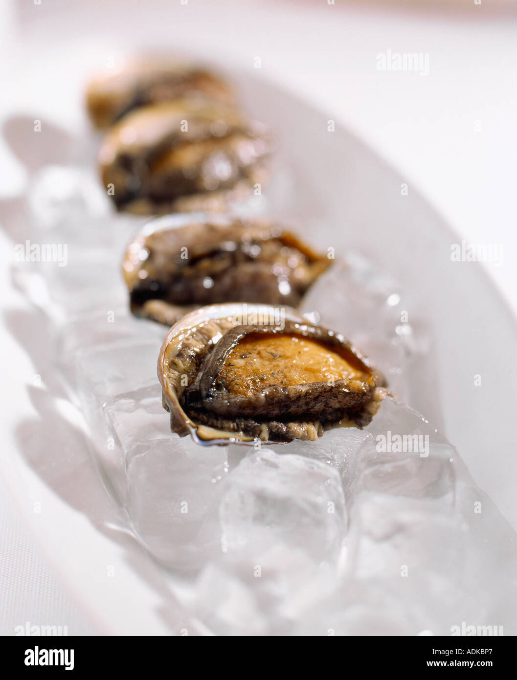 seafood ear shell Stock Photo - Alamy