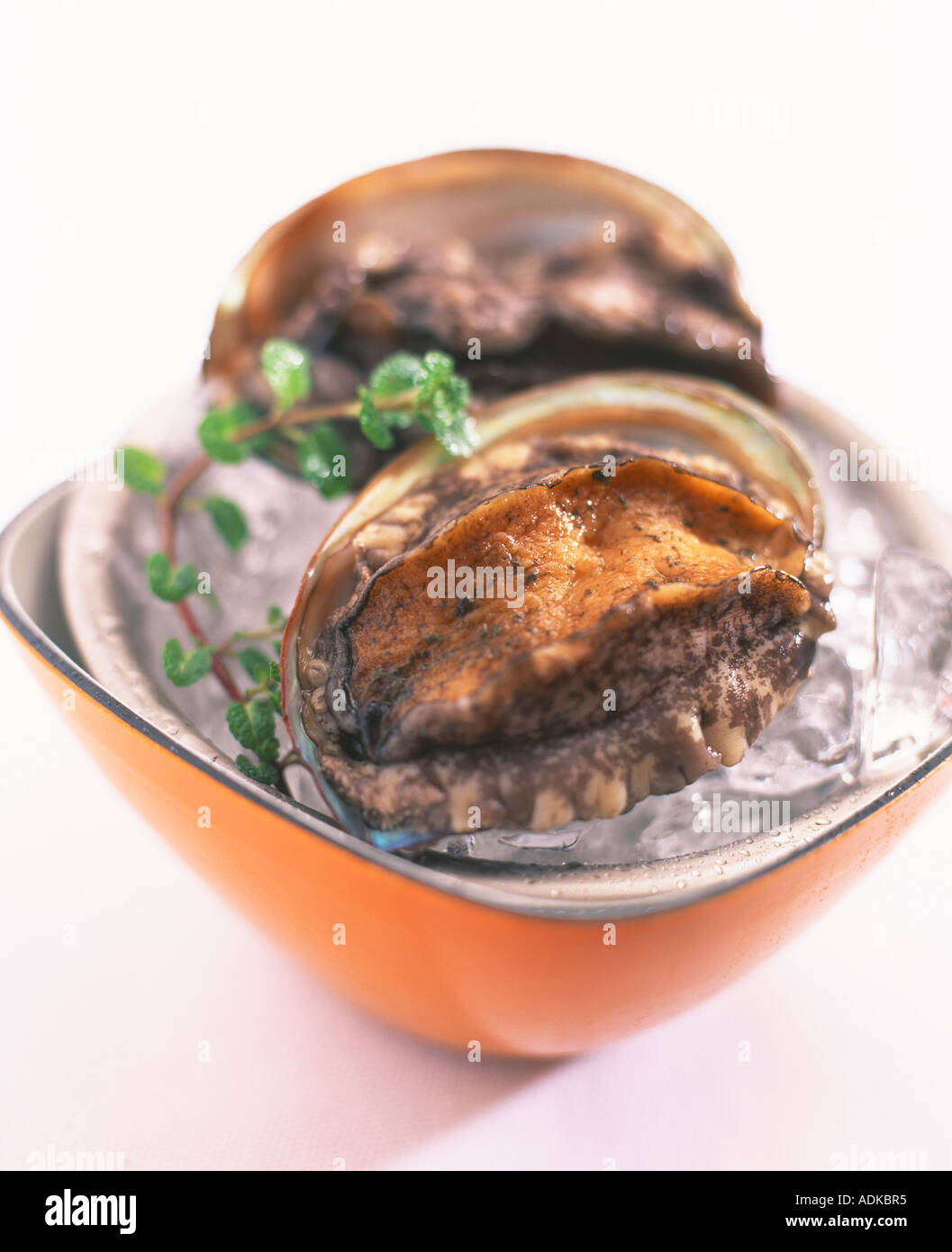 seafood ear shell Stock Photo - Alamy