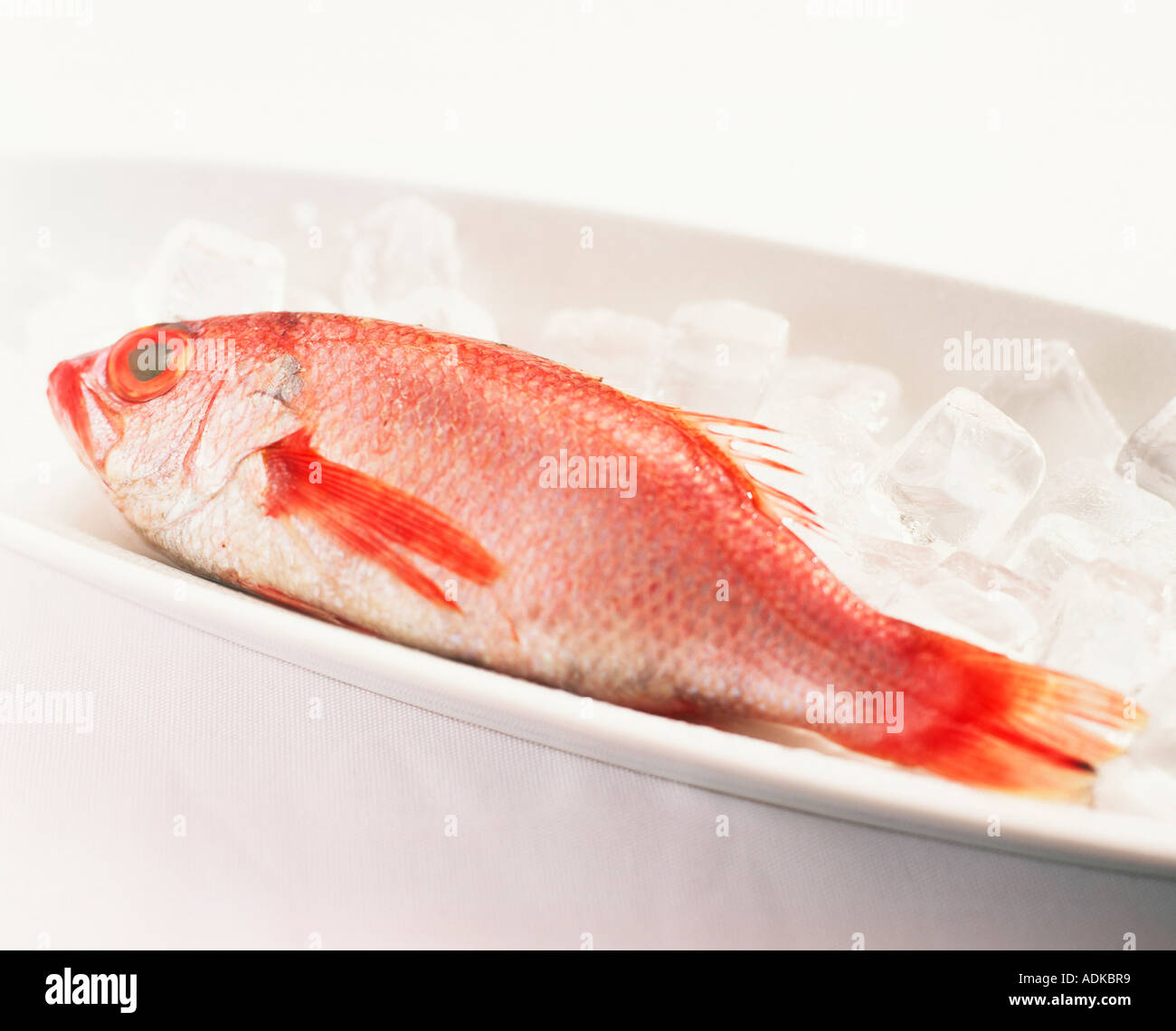 seafood fresh fish Stock Photo - Alamy