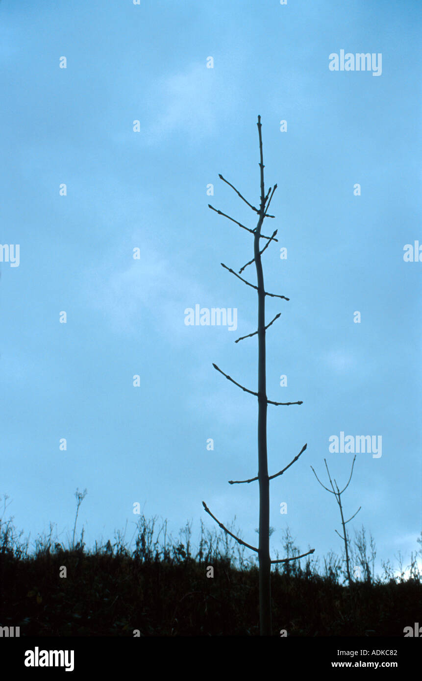 cold damp miserable weather window storm clouds rain drops countryside ...