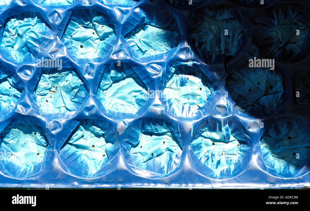 blue plastic fruit packaging Stock Photo - Alamy