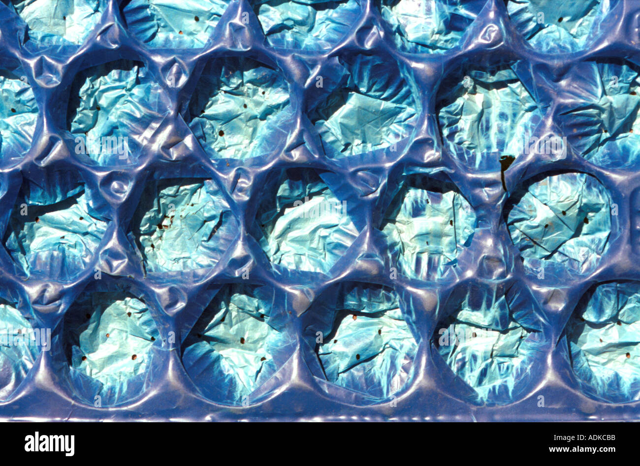 blue plastic fruit packaging Stock Photo - Alamy