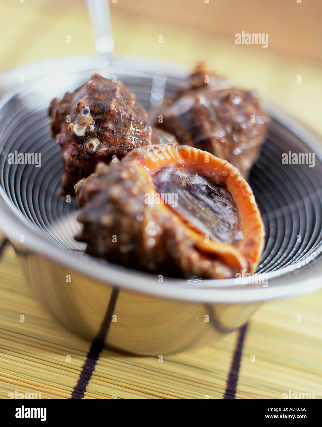 Turban shell hi-res stock photography and images - Alamy