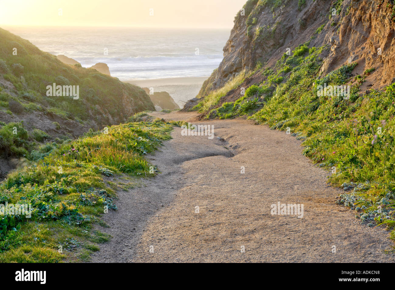 Point reyes national seas hi-res stock photography and images - Alamy