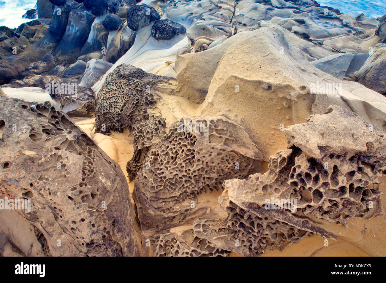 Unusual rock formation in sandstone formation Salt Point State Park ...