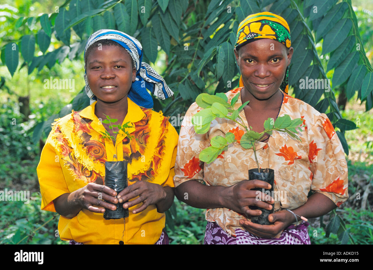Two women involved in a reafforestation project in coastal forest near ...