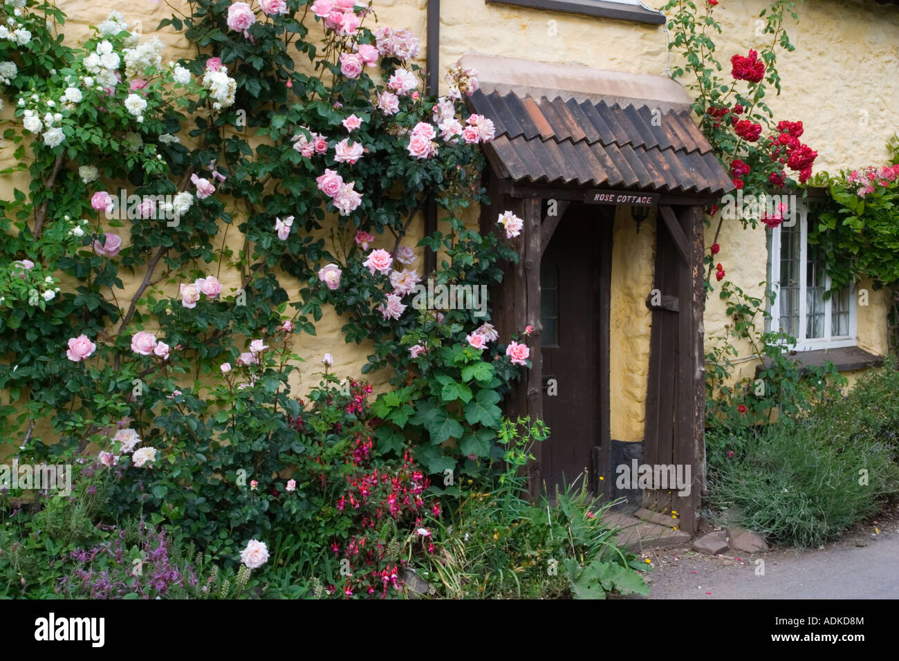 Cottage Climbing Roses Front Door High Resolution Stock Photography and ...