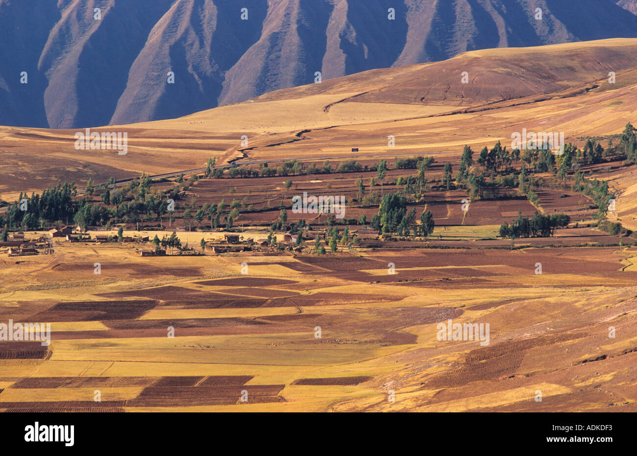 Potato fields peru hi-res stock photography and images - Alamy