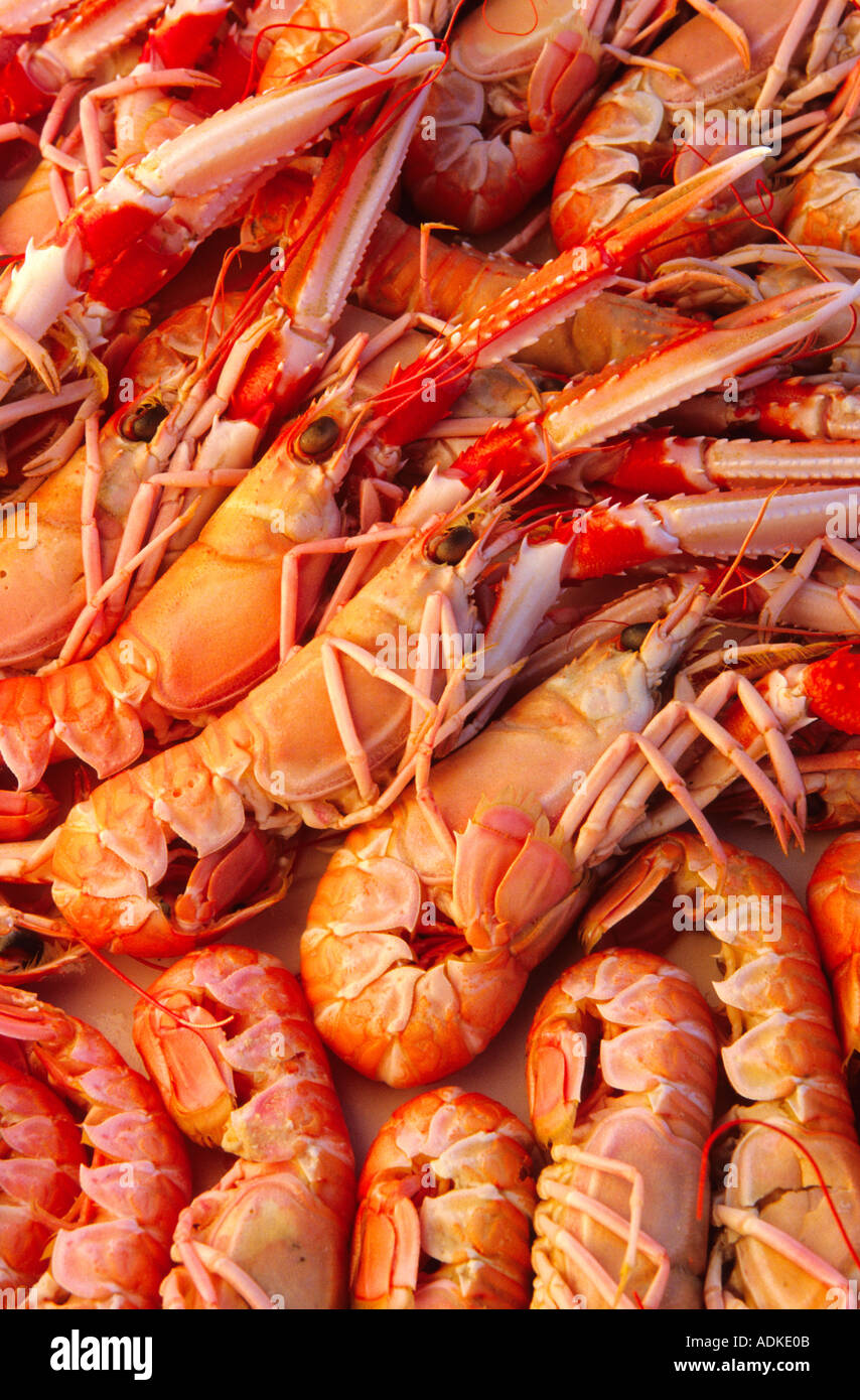 Fish sustainably hi-res stock photography and images - Alamy