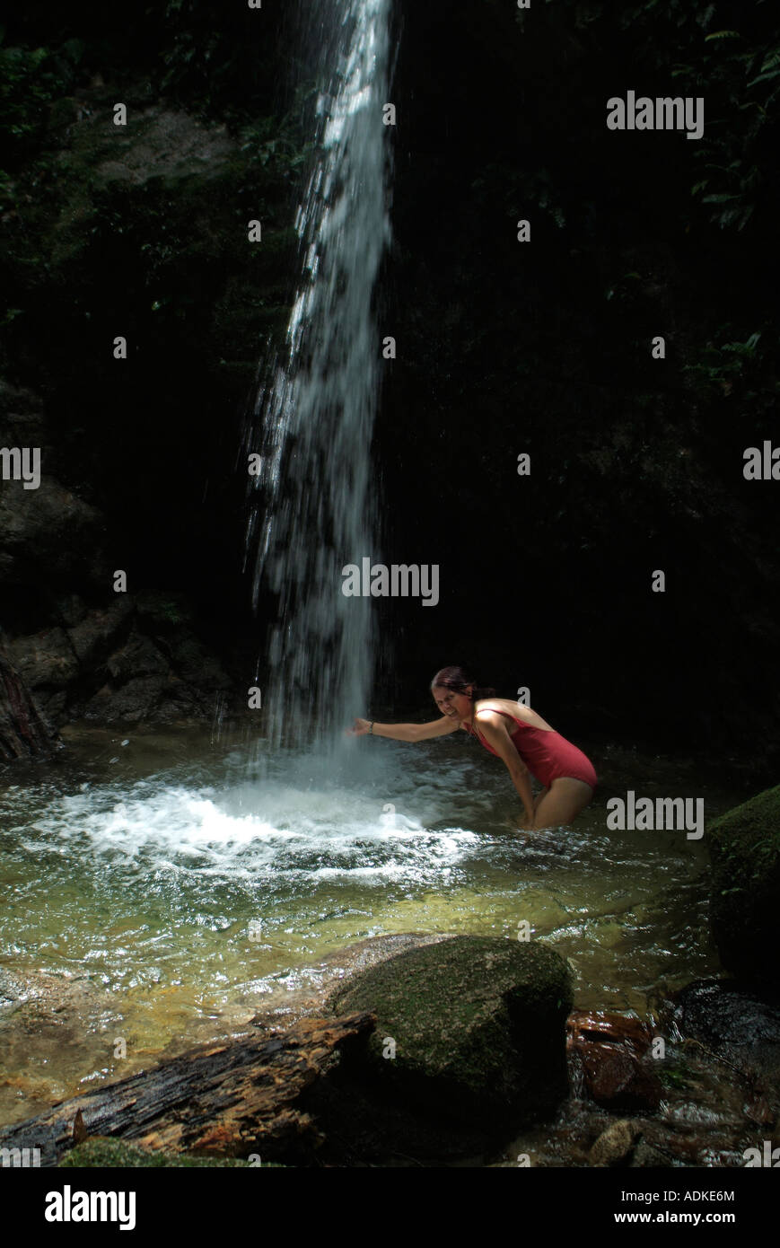 Waterfall in the Jungle Rainforest near Tena, Ecuador Stock Photo - Alamy