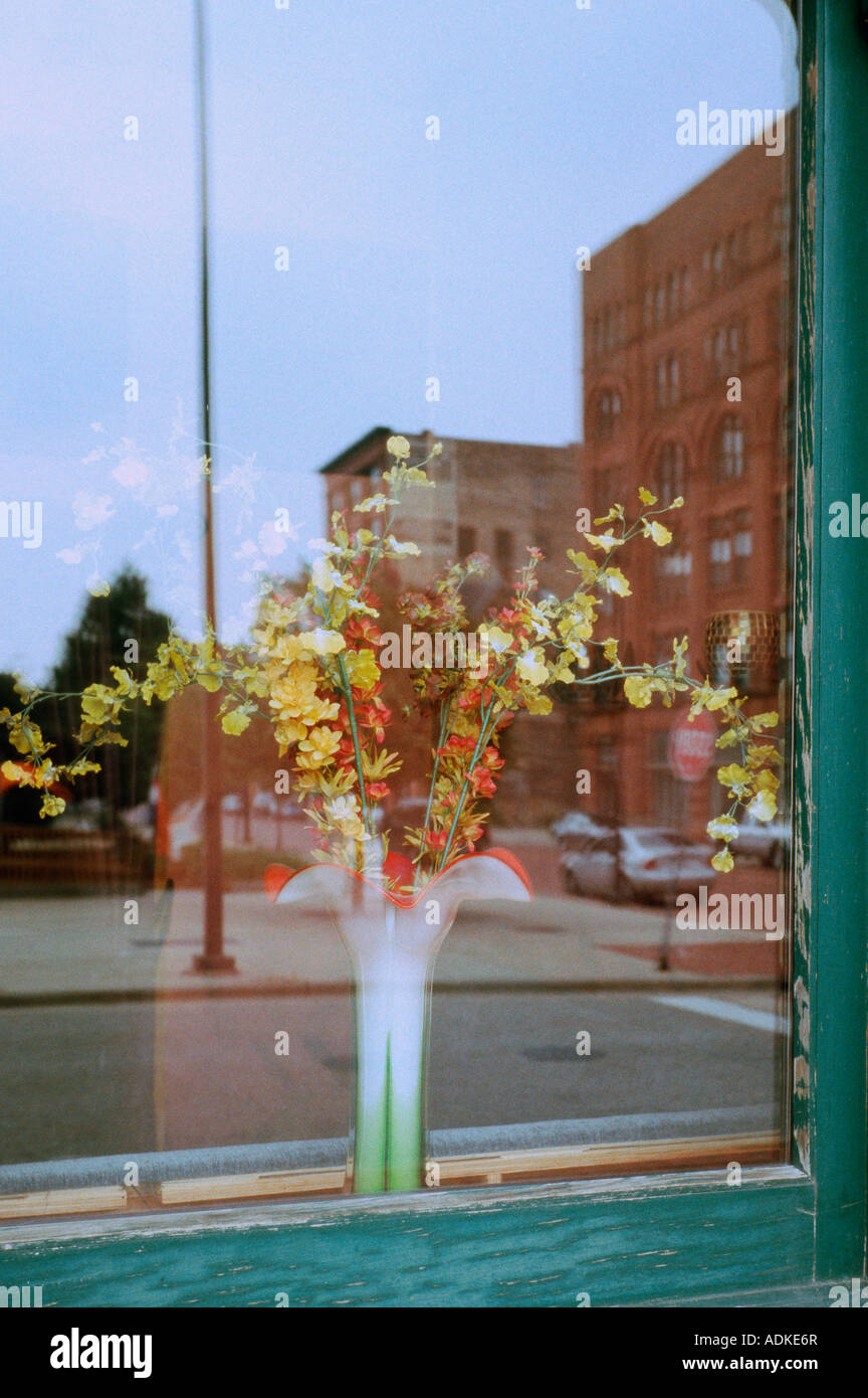 Flowers and vase in outside window Stock Photo - Alamy