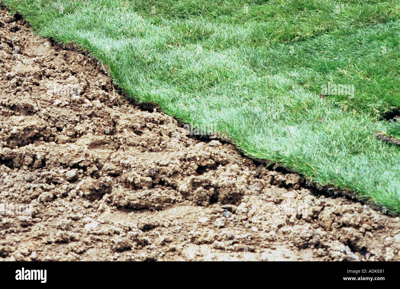 lawn and soil Stock Photo - Alamy