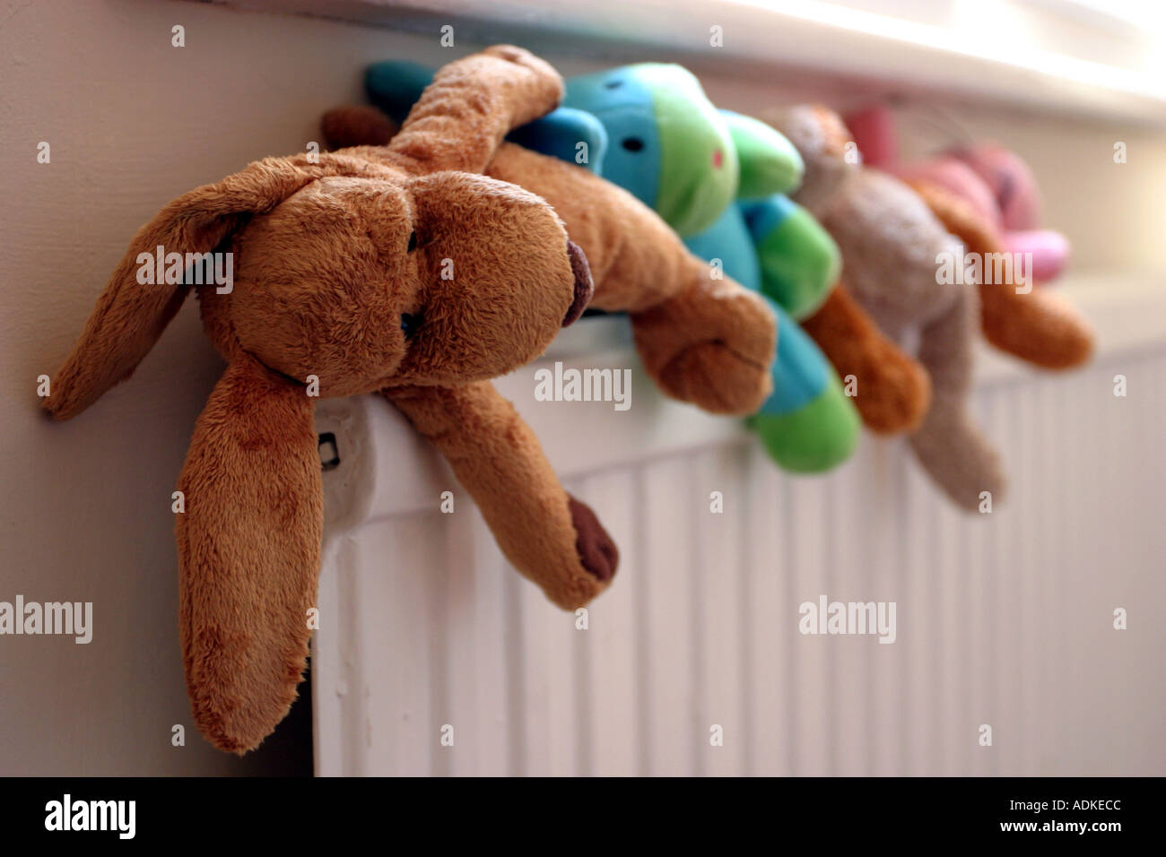 Soft toys drying hi-res stock photography and images - Alamy