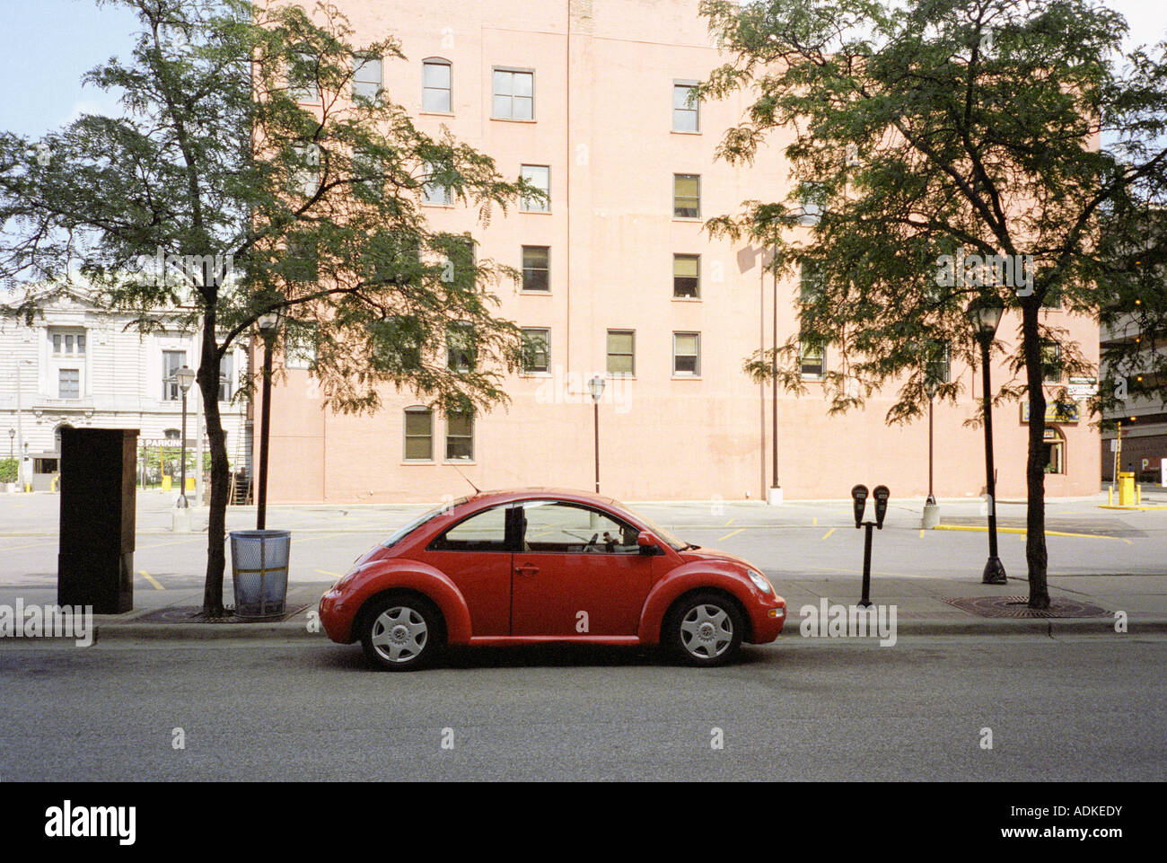 Bright coloured beetle hi-res stock photography and images - Alamy