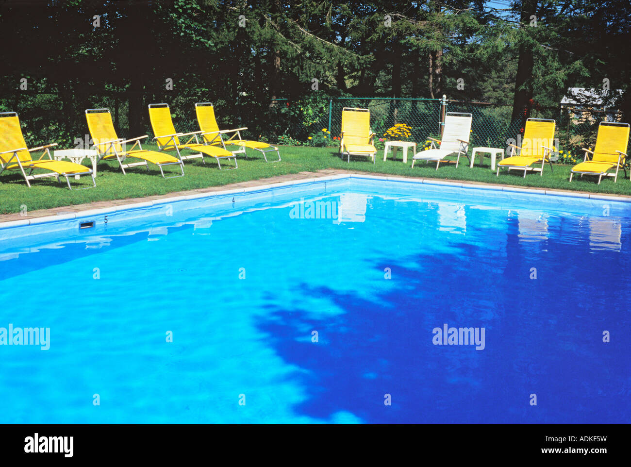 Swimming pool surrounded by yellow lounge chairs Stock Photo - Alamy