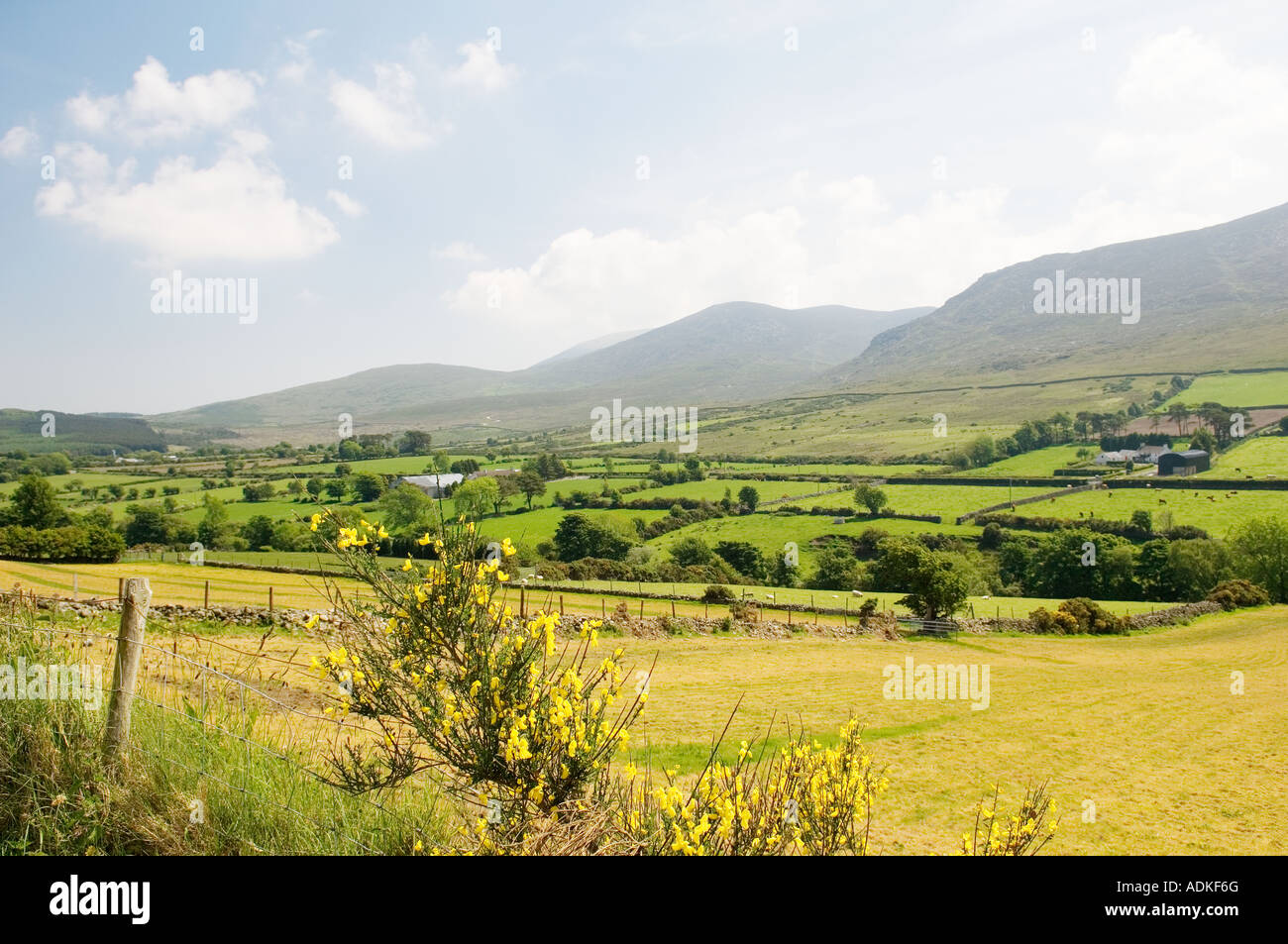 Farm farmland countryside under the slopes of Slieve Bearnagh in the ...