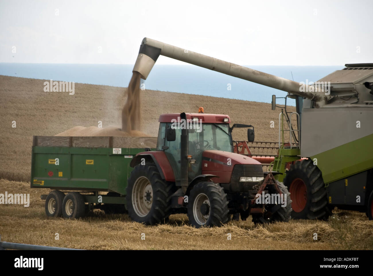 COMBINE HARVESTER TRACTOR TRAILER LOADING GRAIN Stock Photo - Alamy