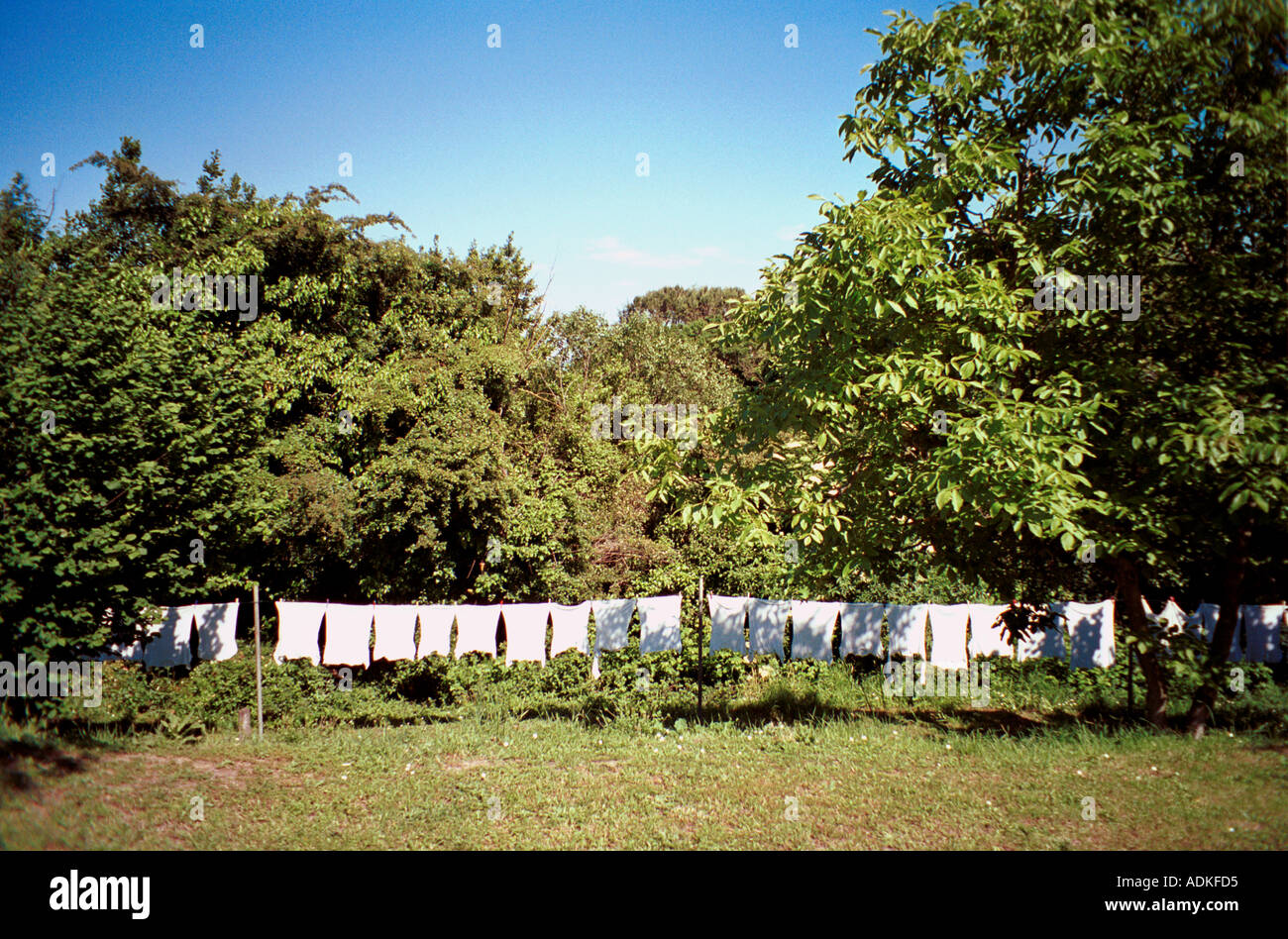 white t shirts on clothes line in countryside Stock Photo - Alamy