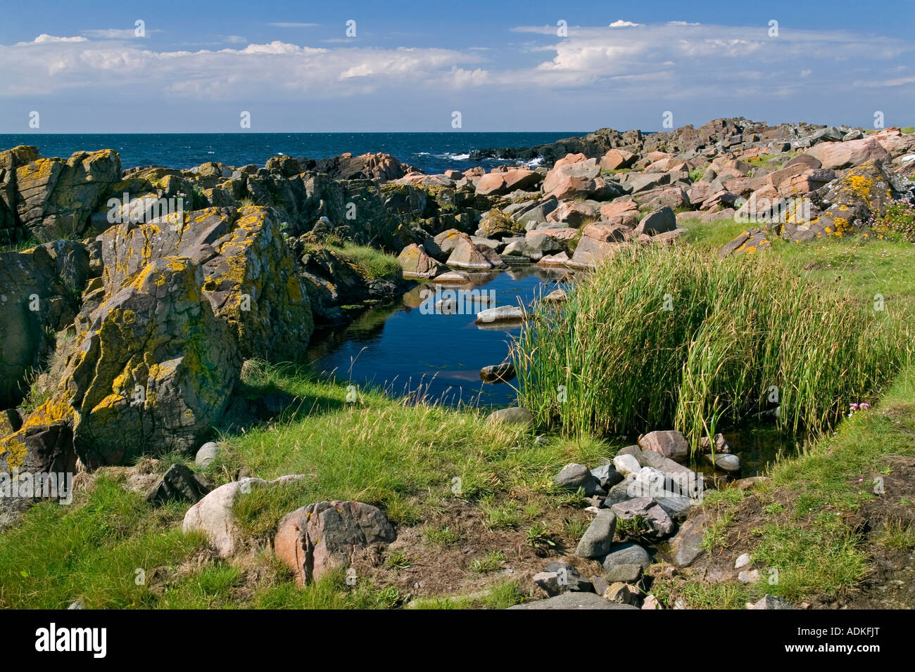 The skerries at Gröfthögarna the Bjearre Peninsula Southern Sweden ...