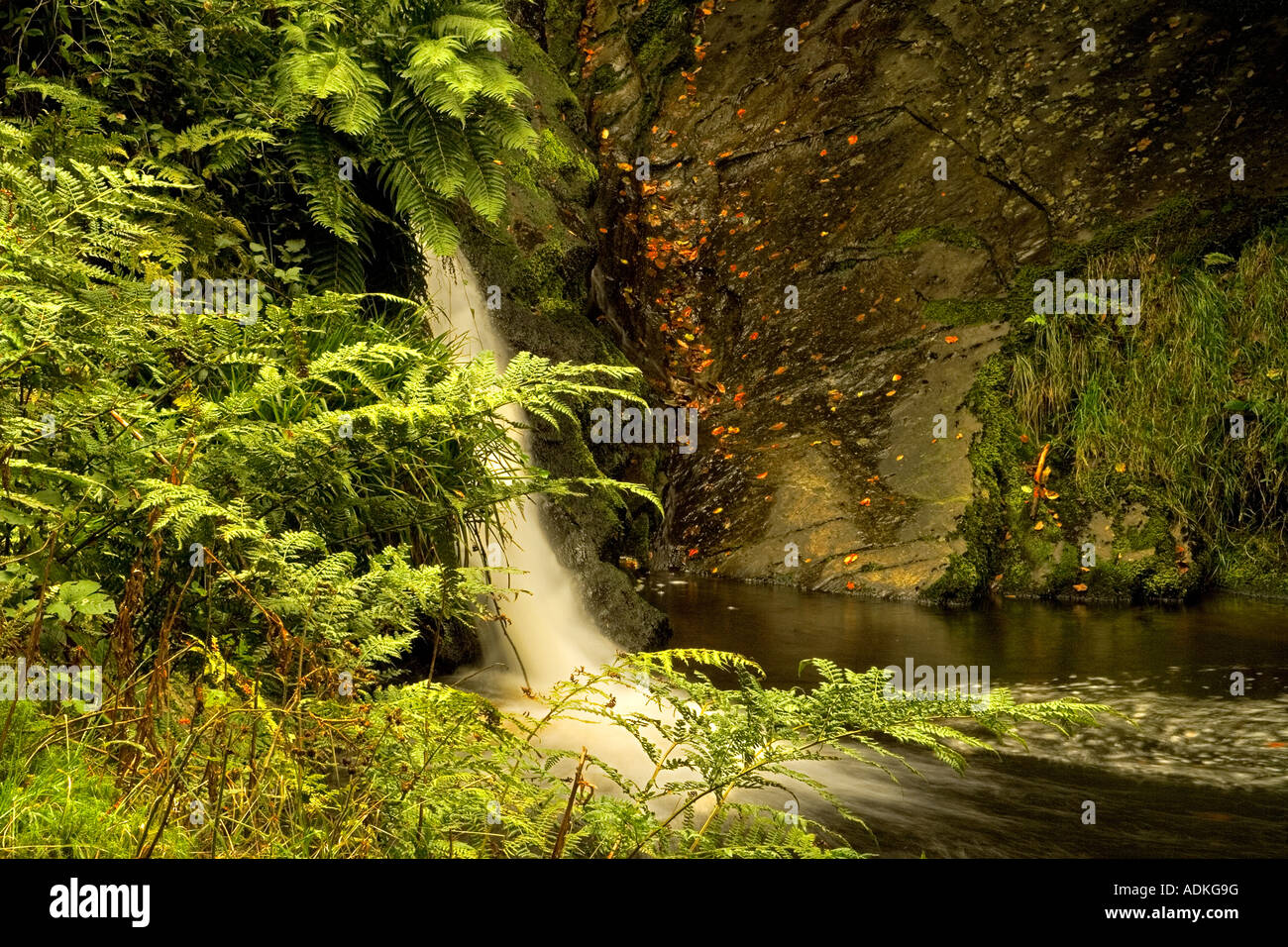 Waterfall in Haford Estate, mid-Wales, near Aberystwyth Stock Photo - Alamy