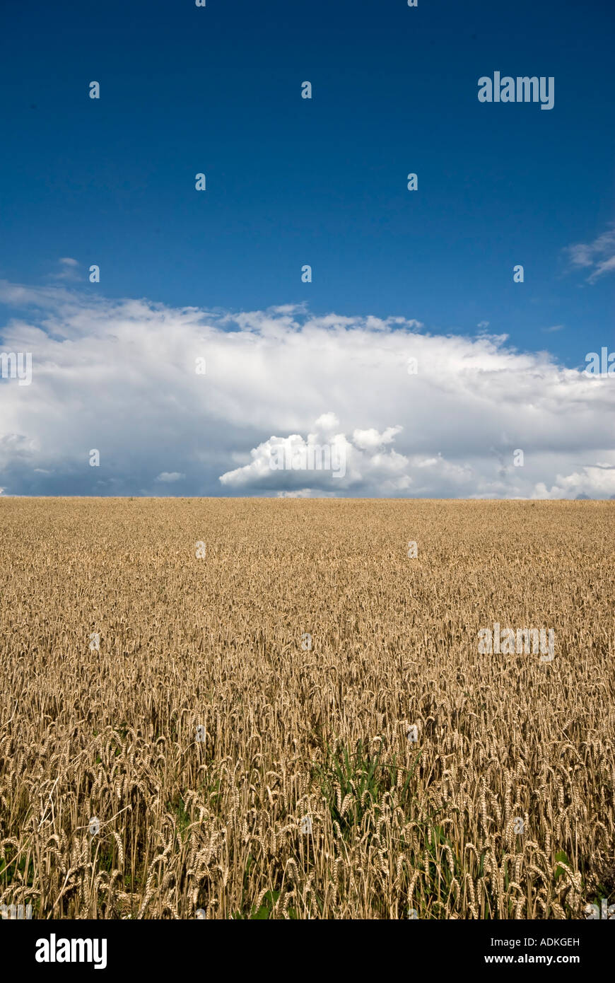 Mmc image hi-res stock photography and images - Alamy