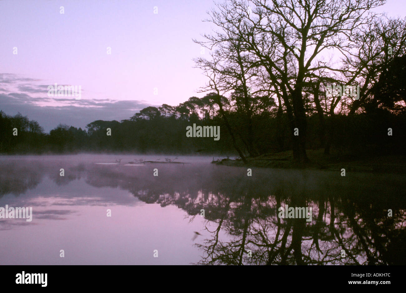 twilight lake morning light Stock Photo - Alamy