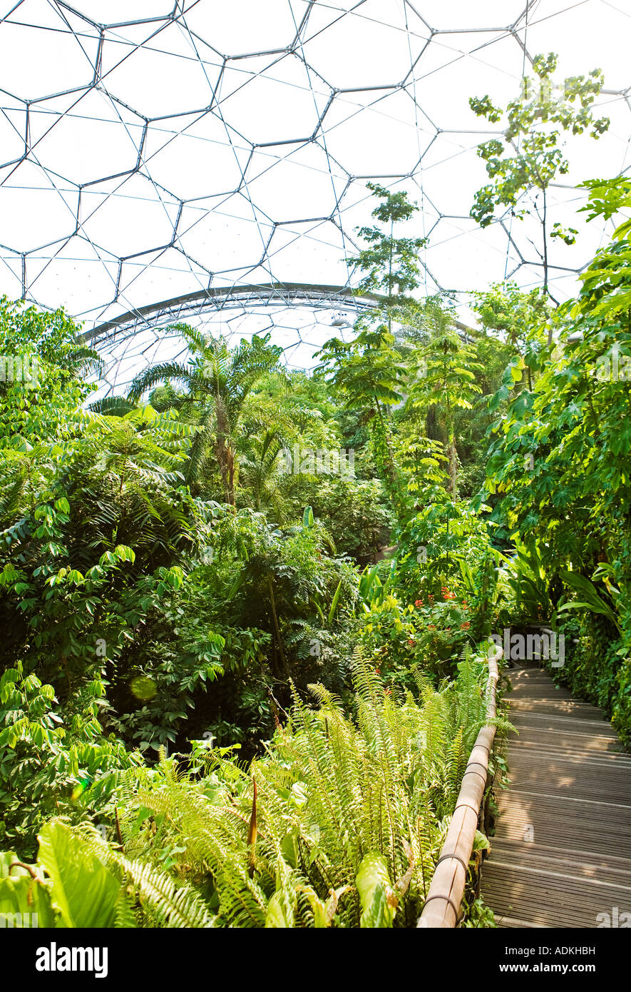 Humid tropics hi-res stock photography and images - Alamy