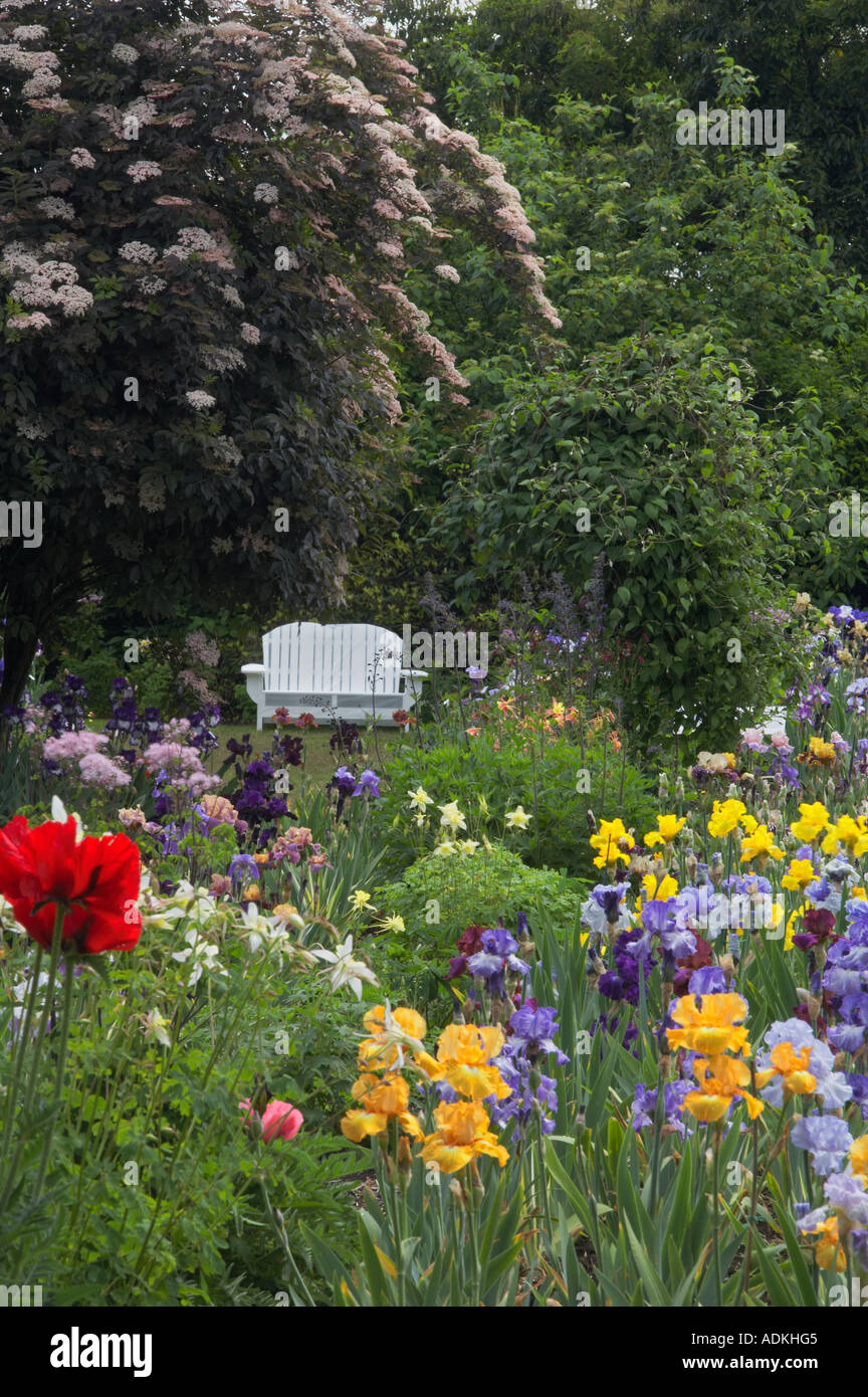 Iris display gardens with bench Schreiner s Iris Gardens Stock Photo ...