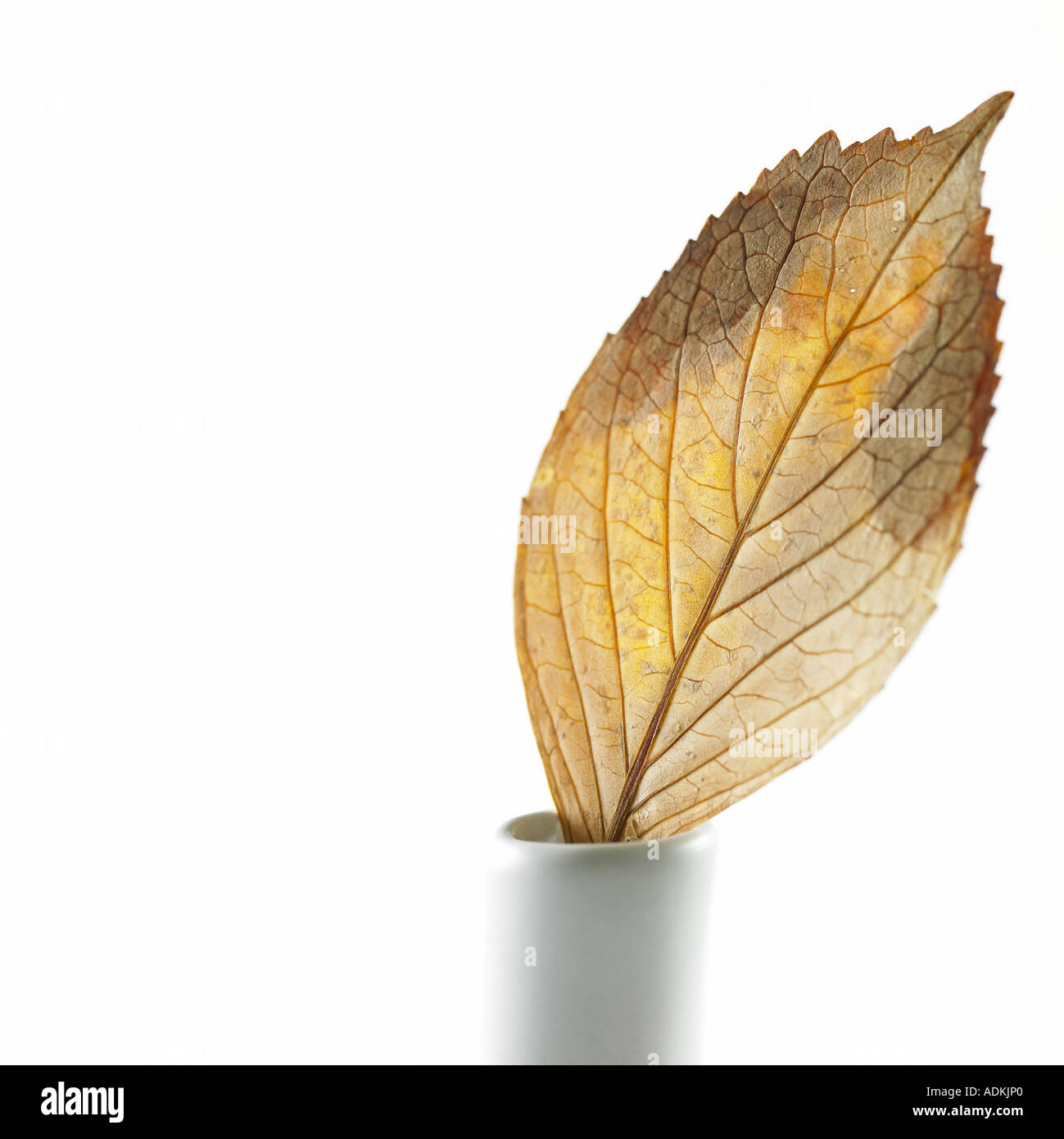 A fallen vase hi-res stock photography and images - Alamy