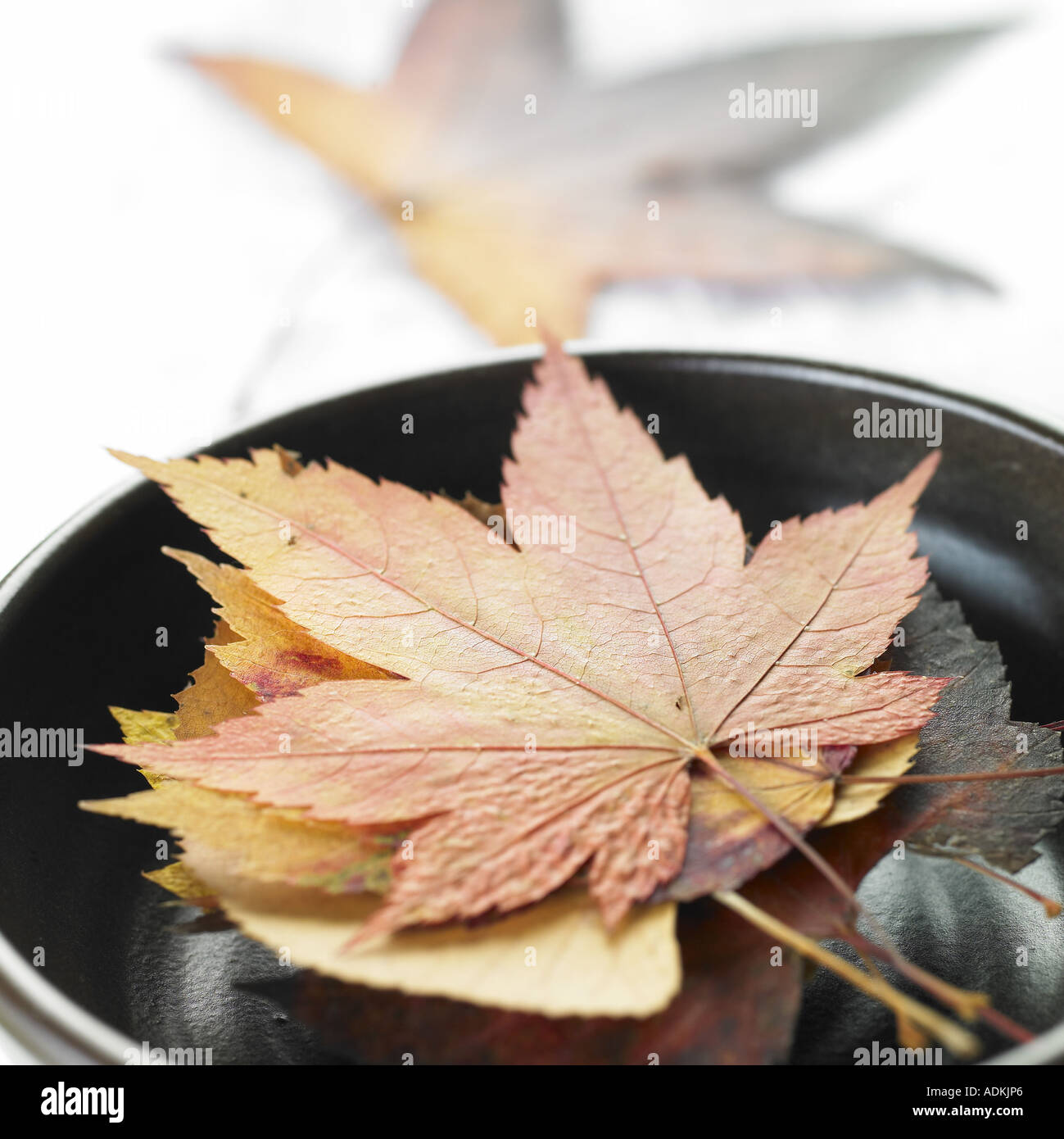 leaves in a vessel Stock Photo - Alamy