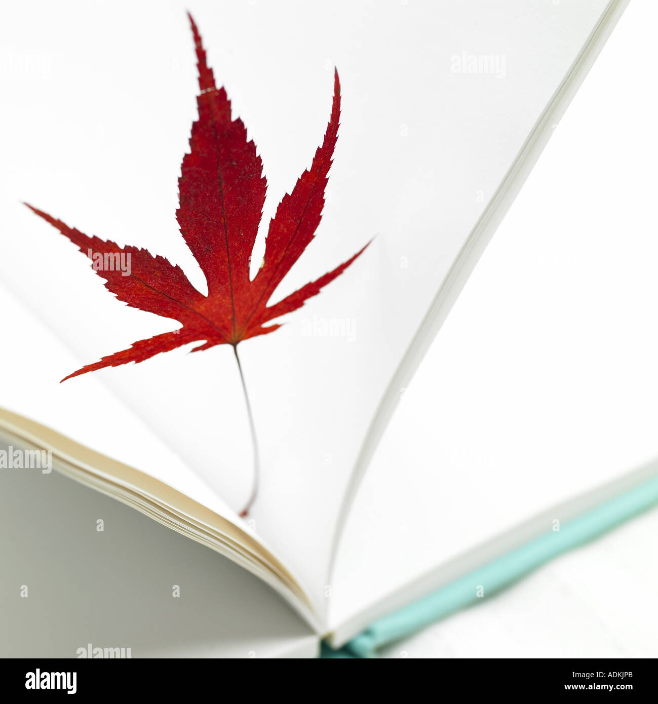 Red bookmarker hi-res stock photography and images - Alamy