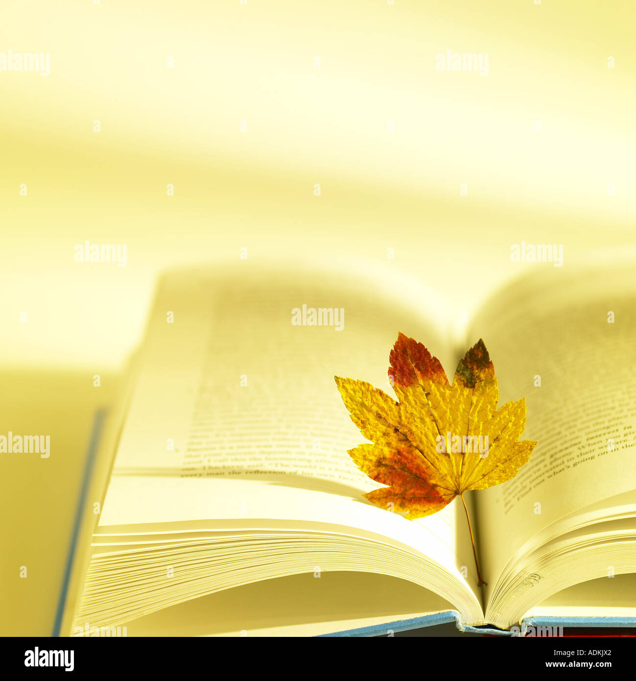 Leaf book hi-res stock photography and images - Alamy