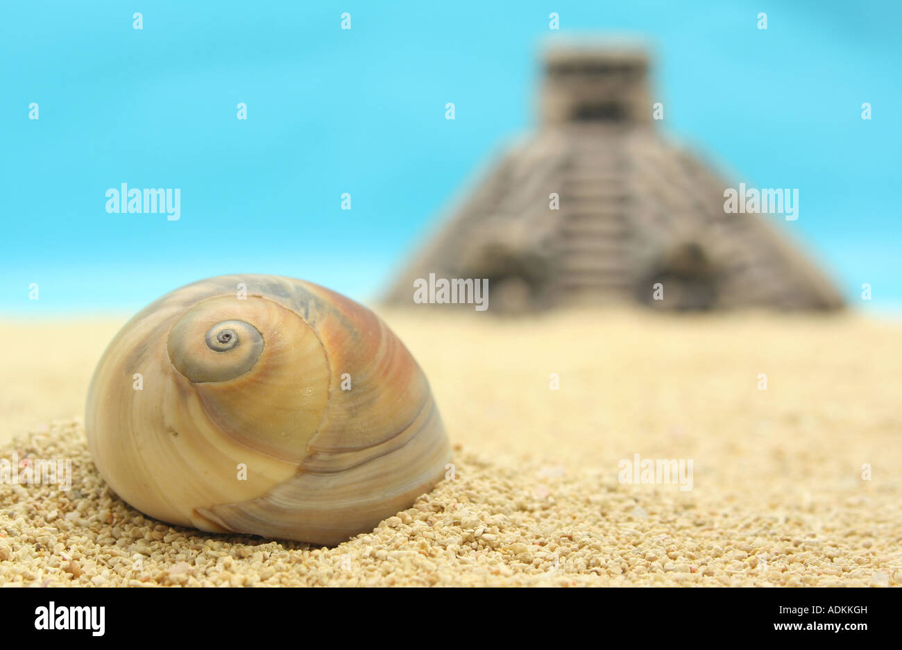 Shell with Pyramid, Shallow Depth of Field Stock Photo - Alamy
