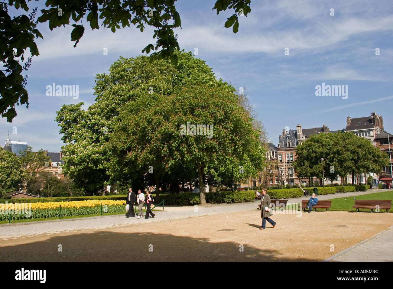 Ambiorix High Resolution Stock Photography and Images - Alamy